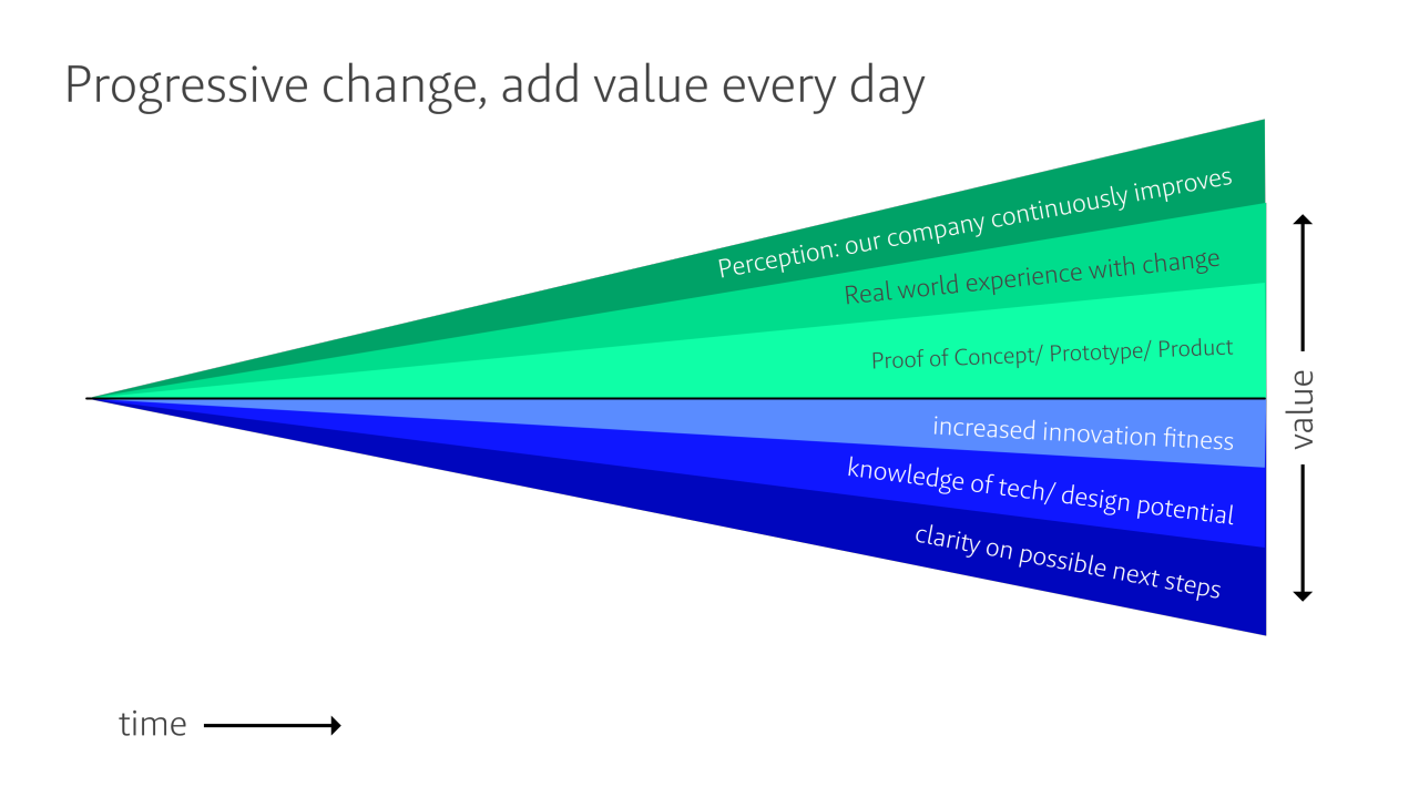 Growing and show case-ing innovation, vision and leadership – Peet Sneekes